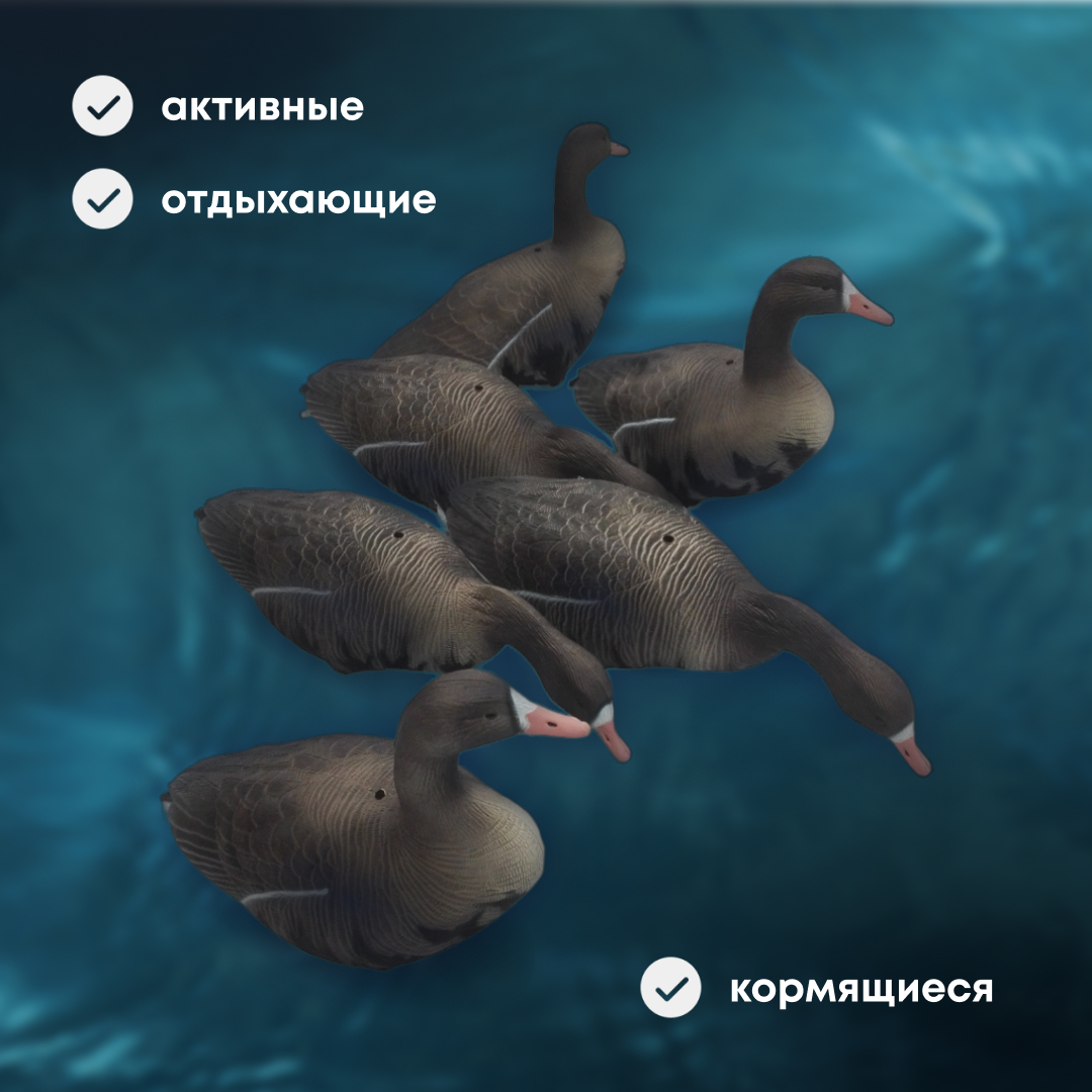 Подсадной гусь Taigan Spec Goose EVA комплект 6шт купить в интернет ...