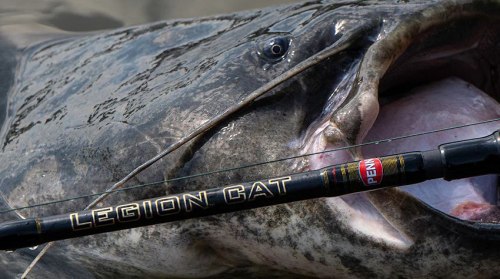 Penn: новые троллинговые удилища Legion Cat и Squadron III