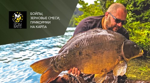 Новинки Lion Baits: бойлы, насадки и прикормки для рыбалки